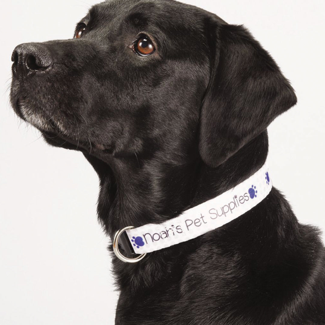 Customizable Doggo Adjustable Pet Collar | Ethical Swag