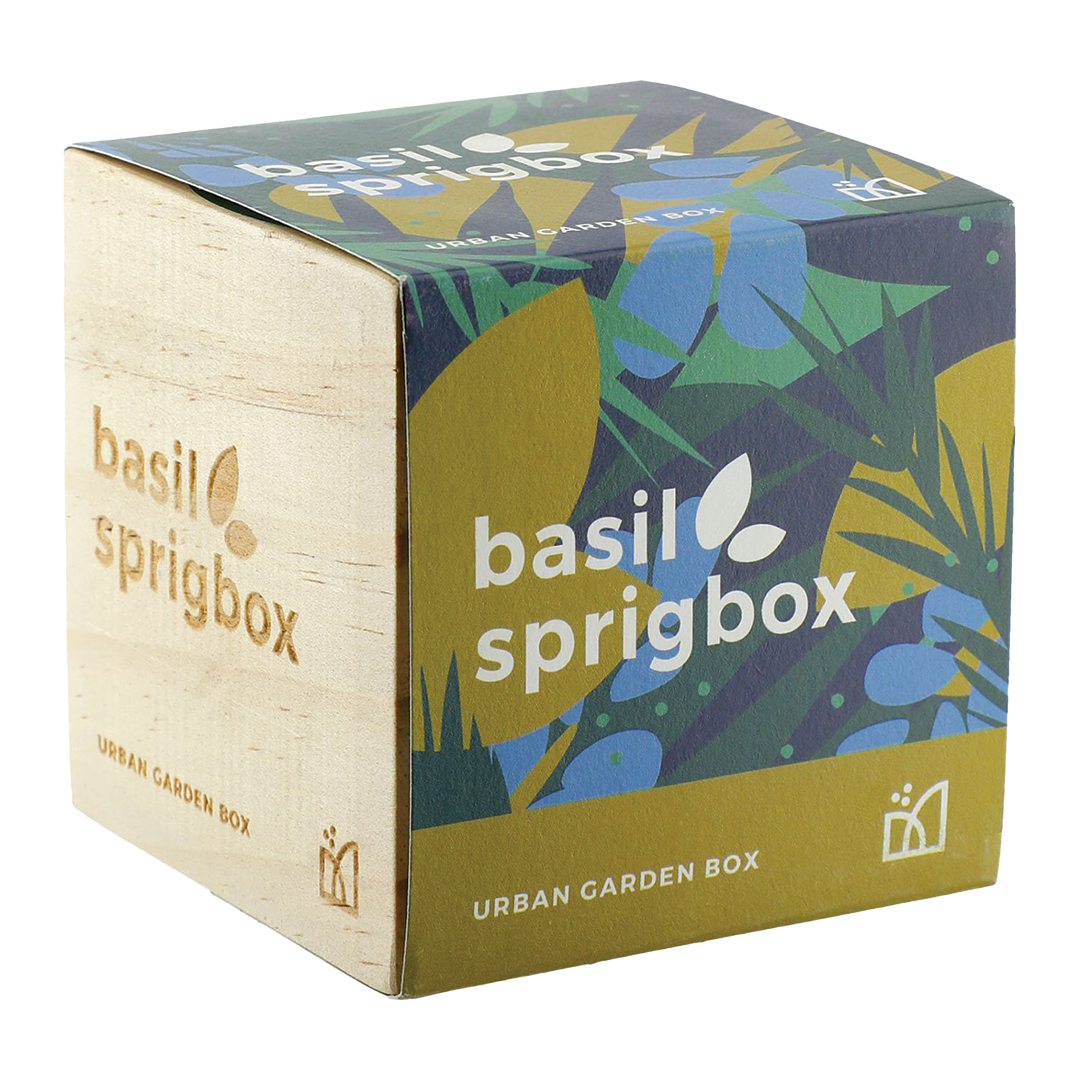 Customizable Basil Desktop Grow Kit | Ethical Swag