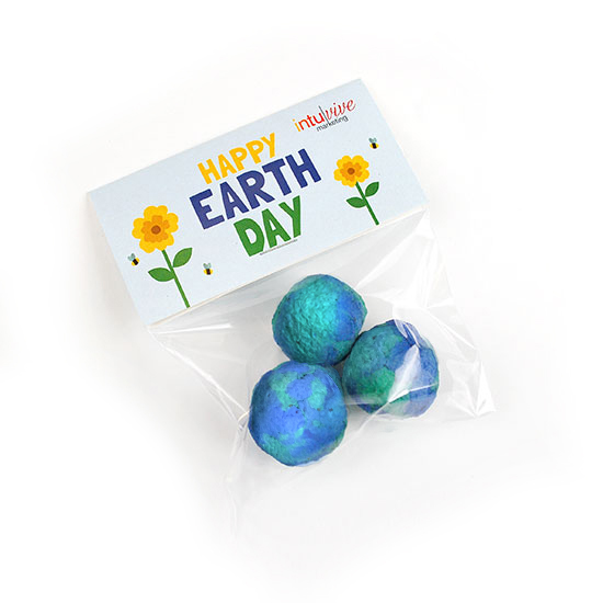 Earth Day Globe Seed Bombs Pack of 3